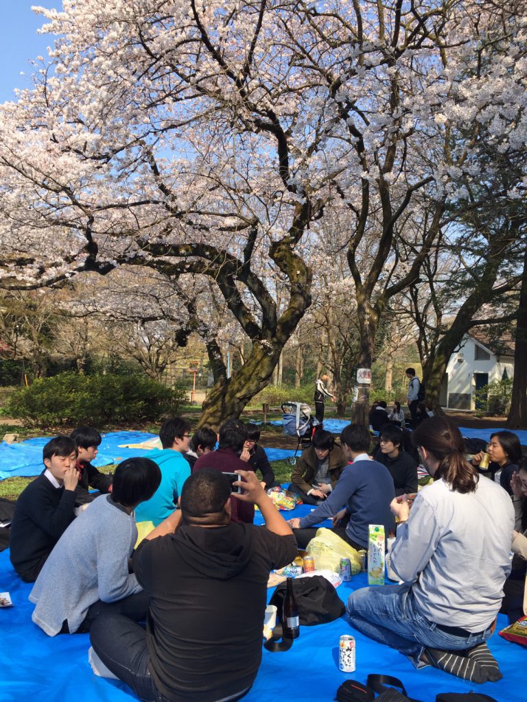 Flower Watching (HANAMI) – Laboratory for Intelligent Dynamics and ...